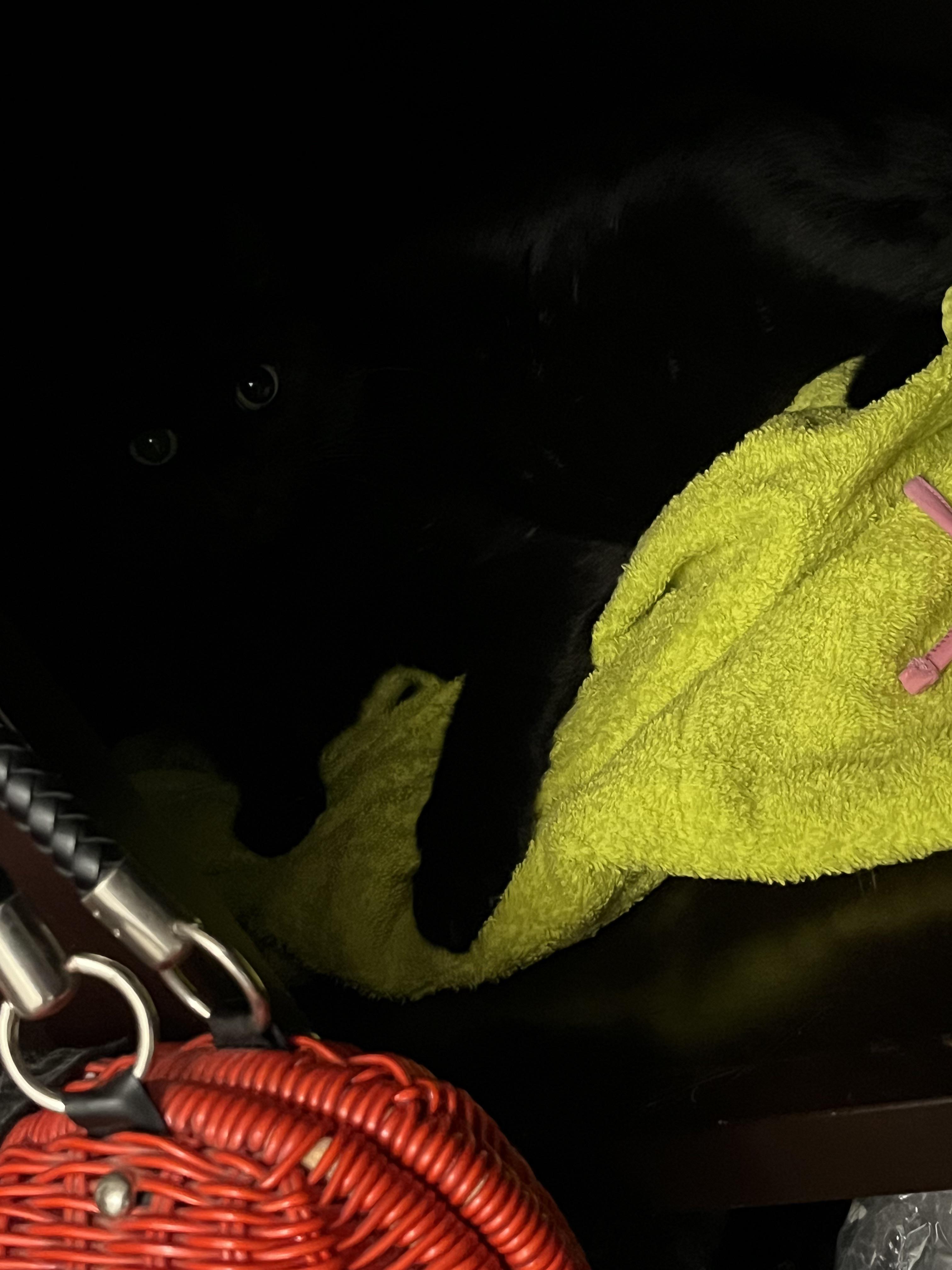 Has anyone seen my void???? | Scrolller