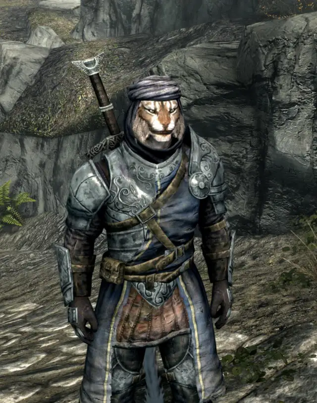 “Khajiit has drip if you have coin” | Scrolller