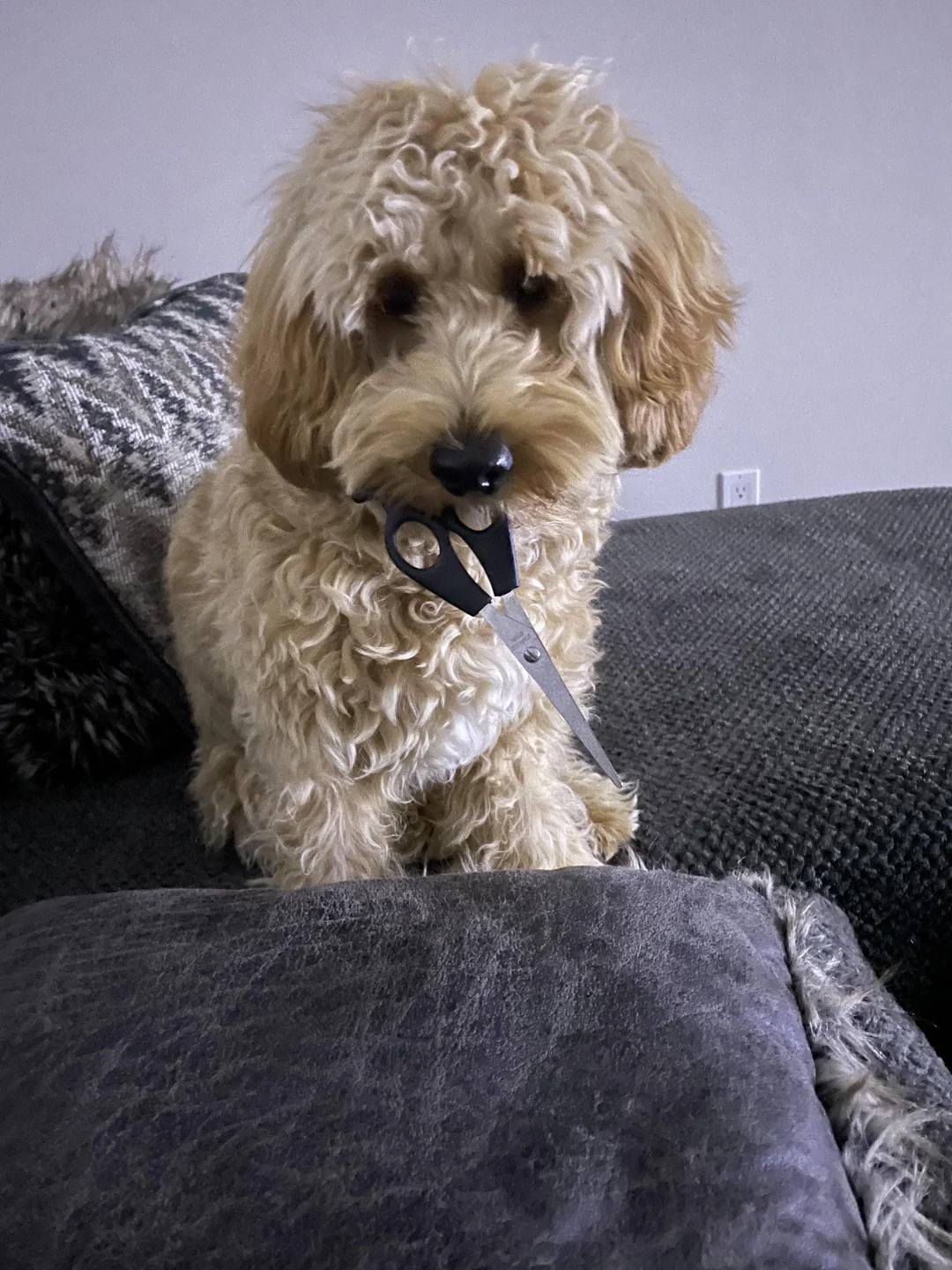 Here dad! | Scrolller