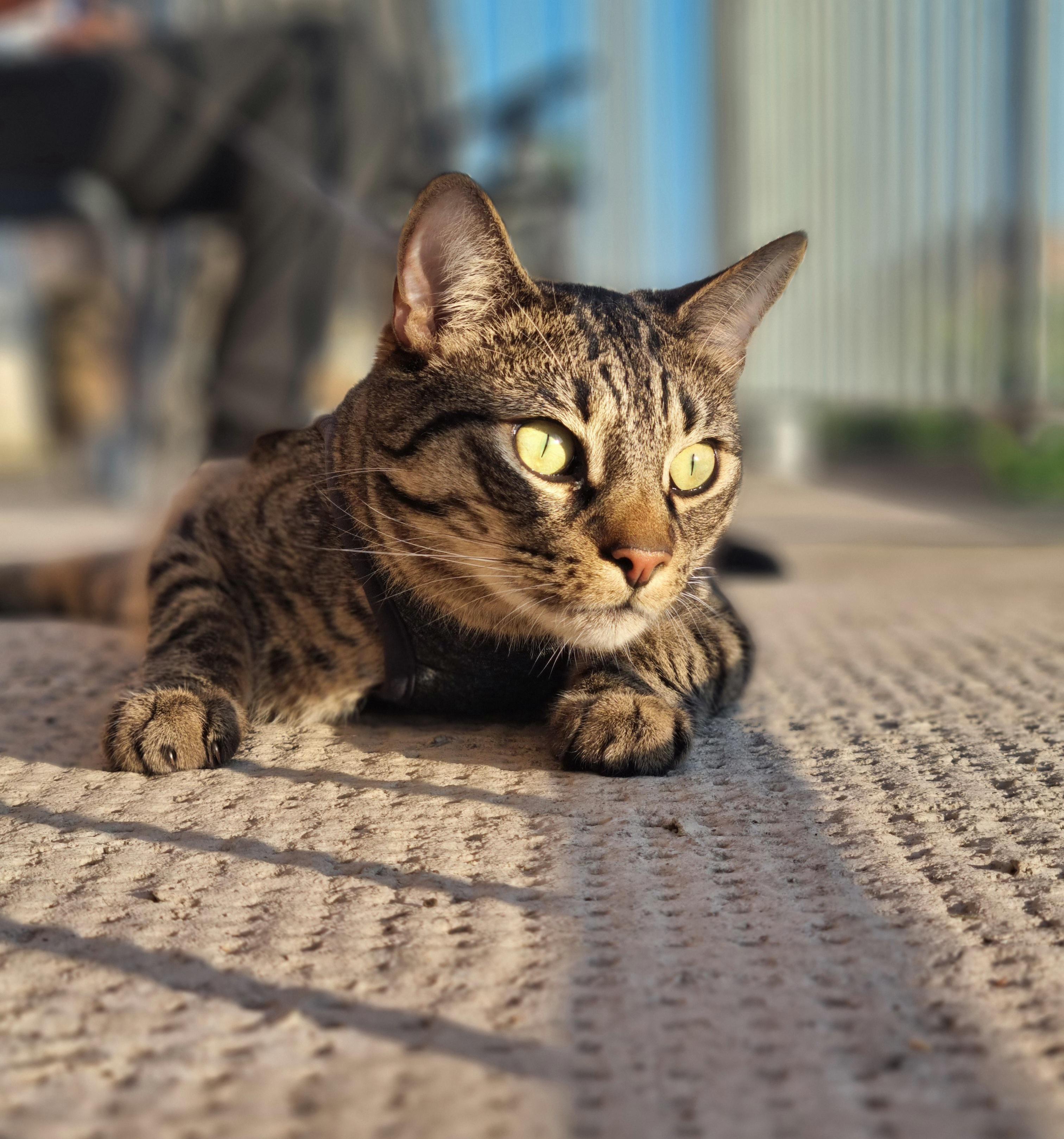 Bird watching | Scrolller