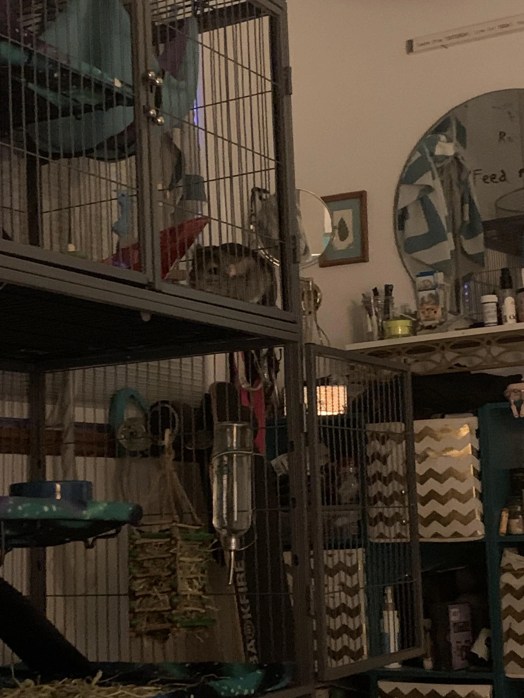 Plastic hut? | Scrolller