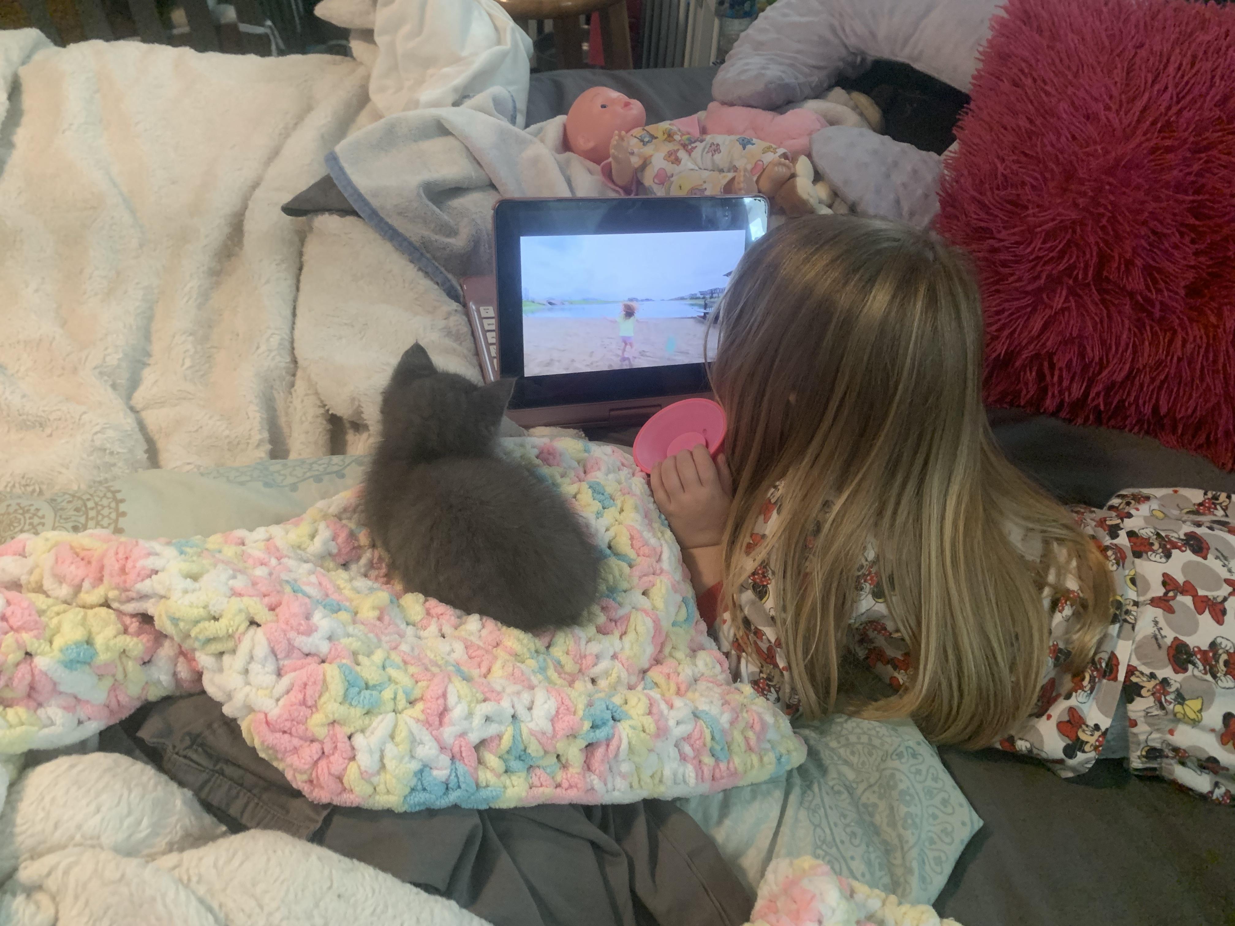 Stray BFF | Scrolller