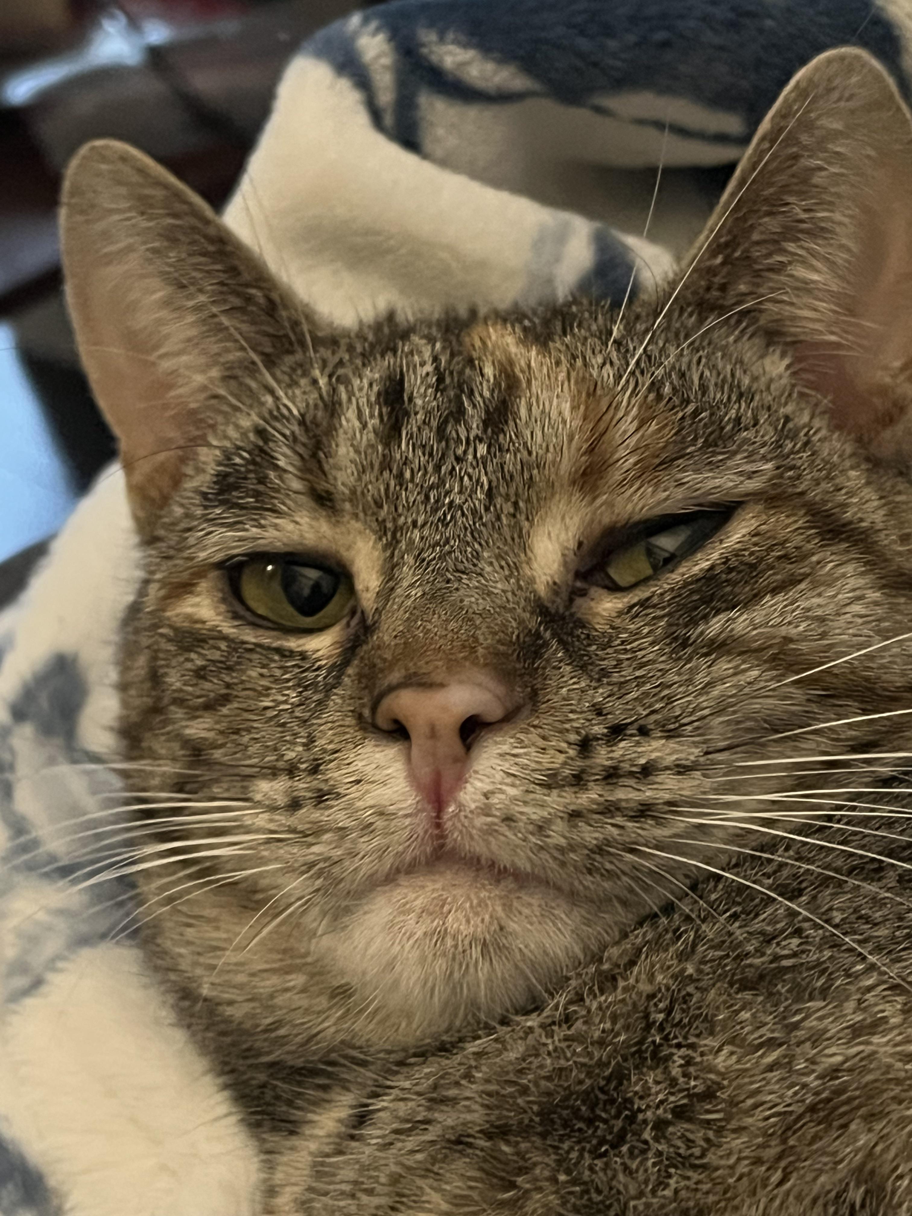 Blood in stool | Scrolller