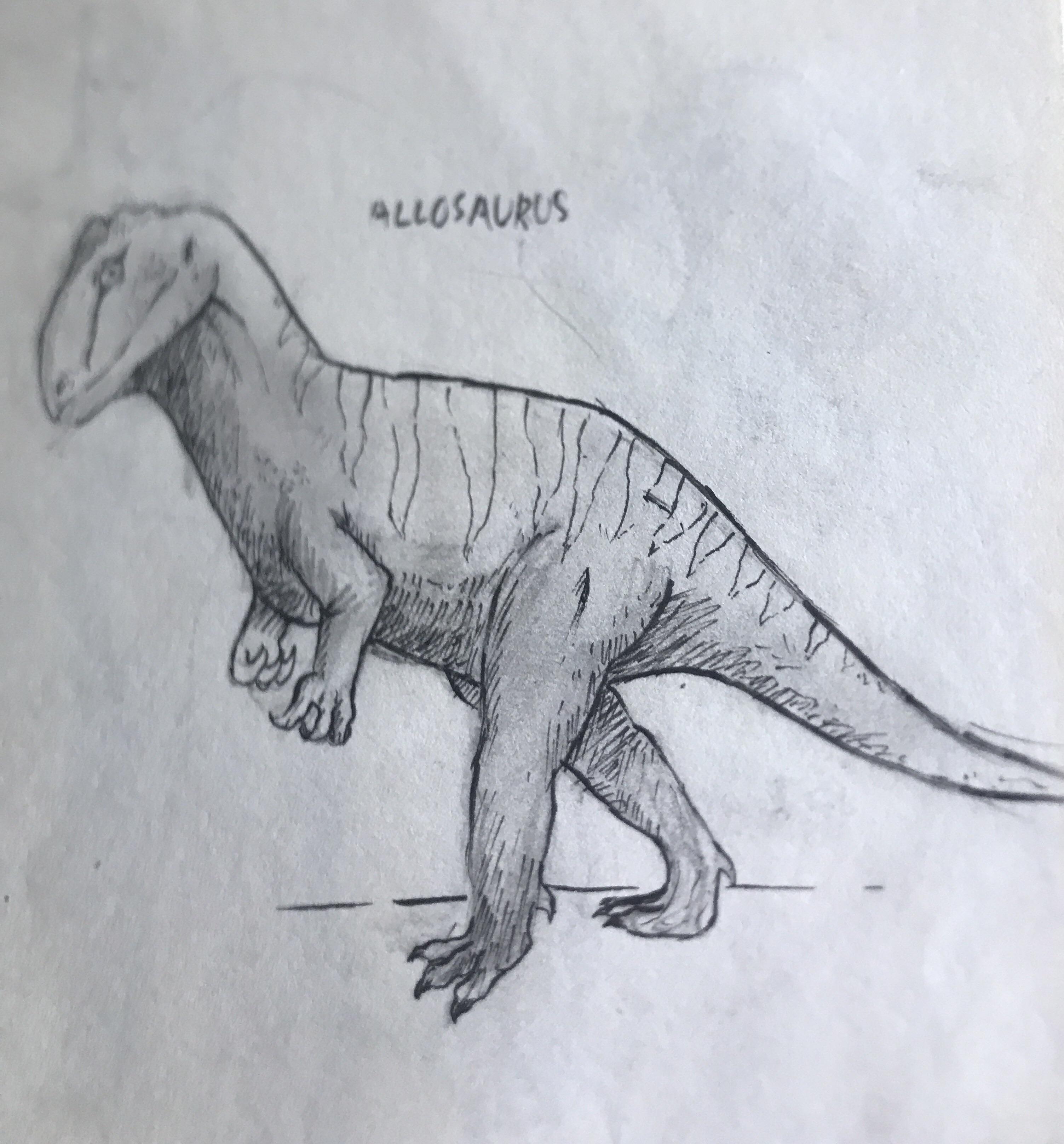 Some dinosaurs I drew while I was bored(velociraptor,pachyrhinosaurus and allosaurus) | Scrolller