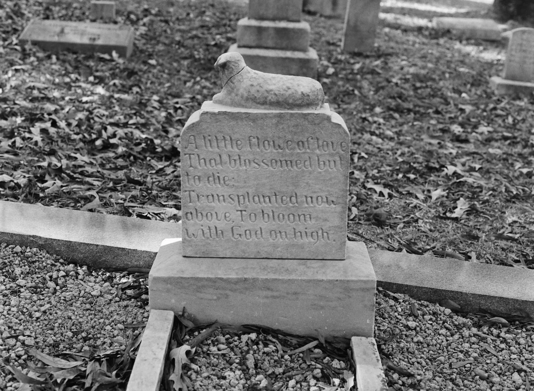 A young child’s grave in rural SC | Scrolller
