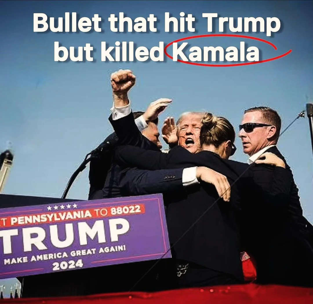 Comeback | Scrolller