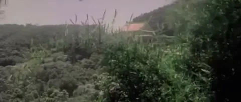 Daily Dose of Kung Fu - Betty is the strongest | Scrolller