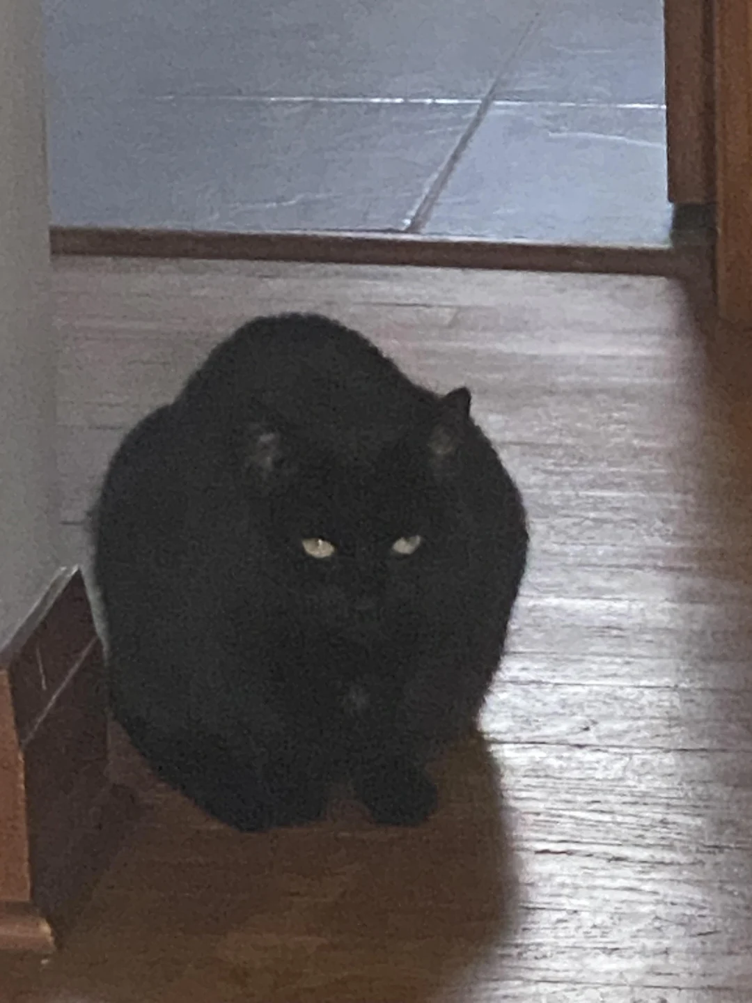 Muscle void loaf | Scrolller
