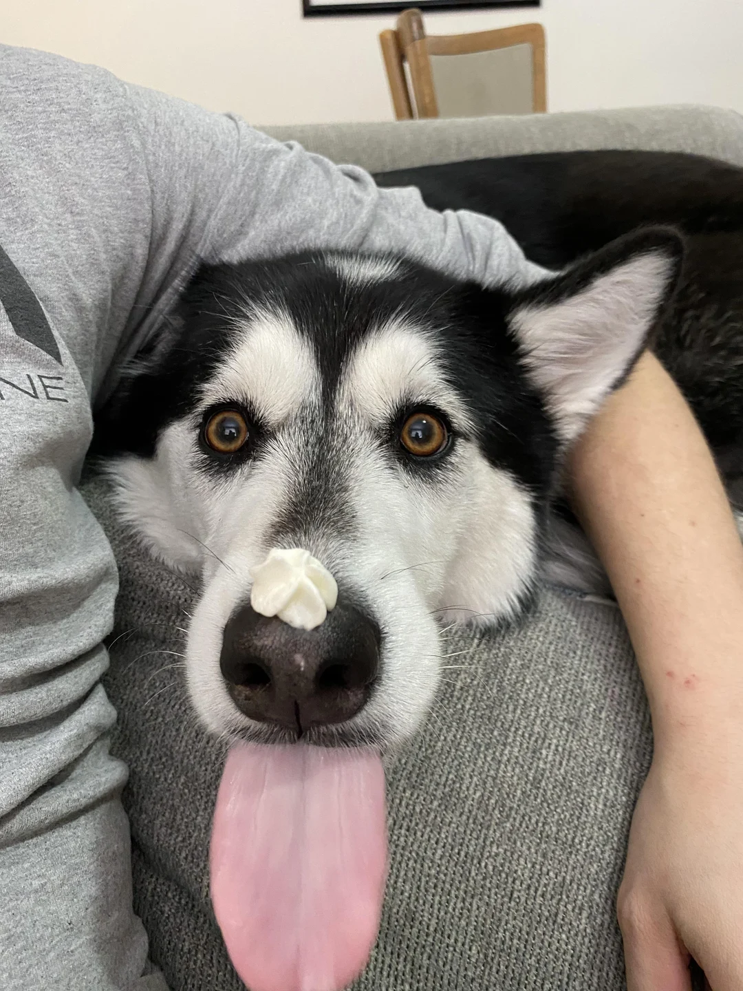 Whipped boop | Scrolller