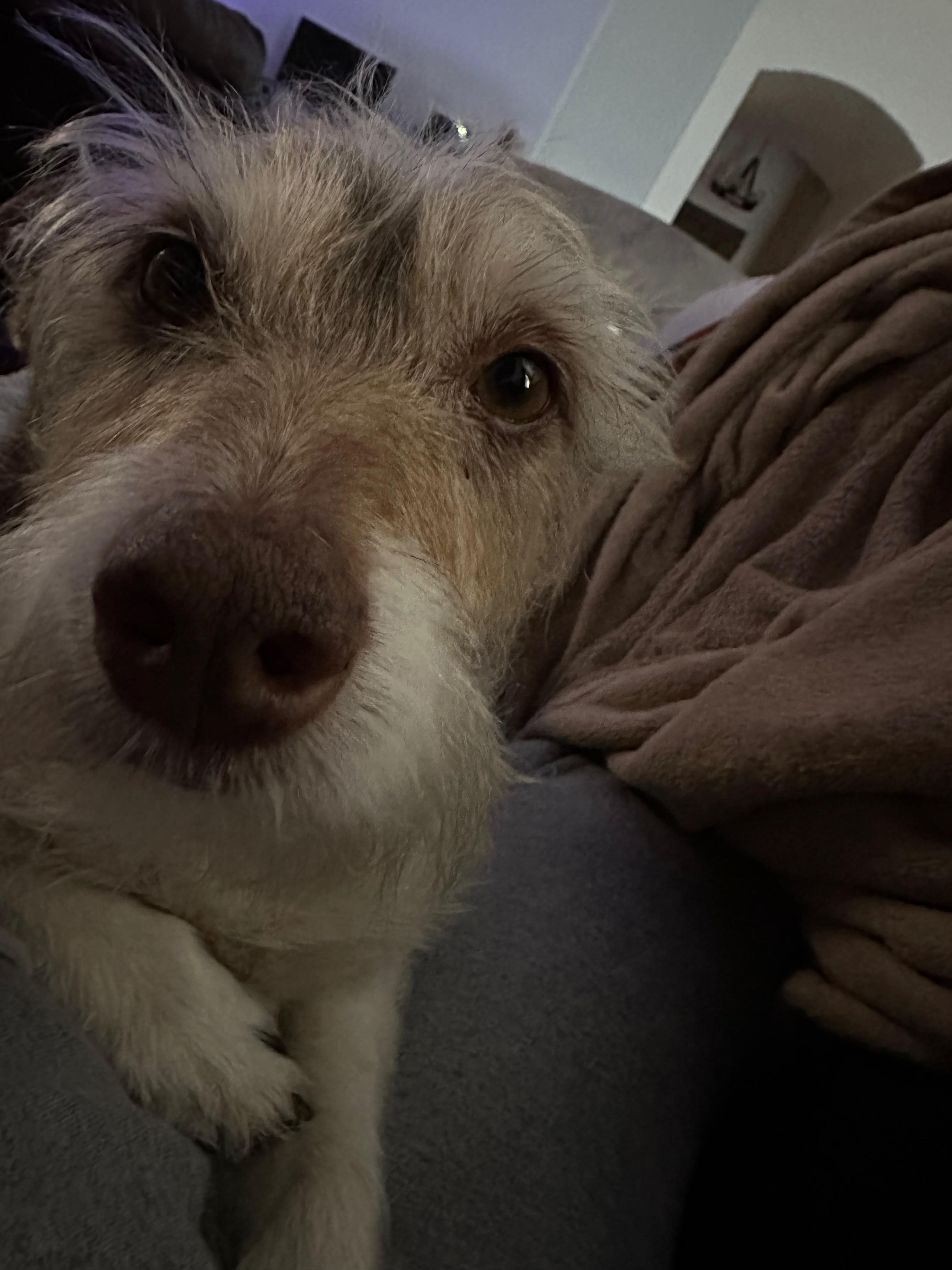 Discover more like Aww: Boop and Related Content | Scrolller