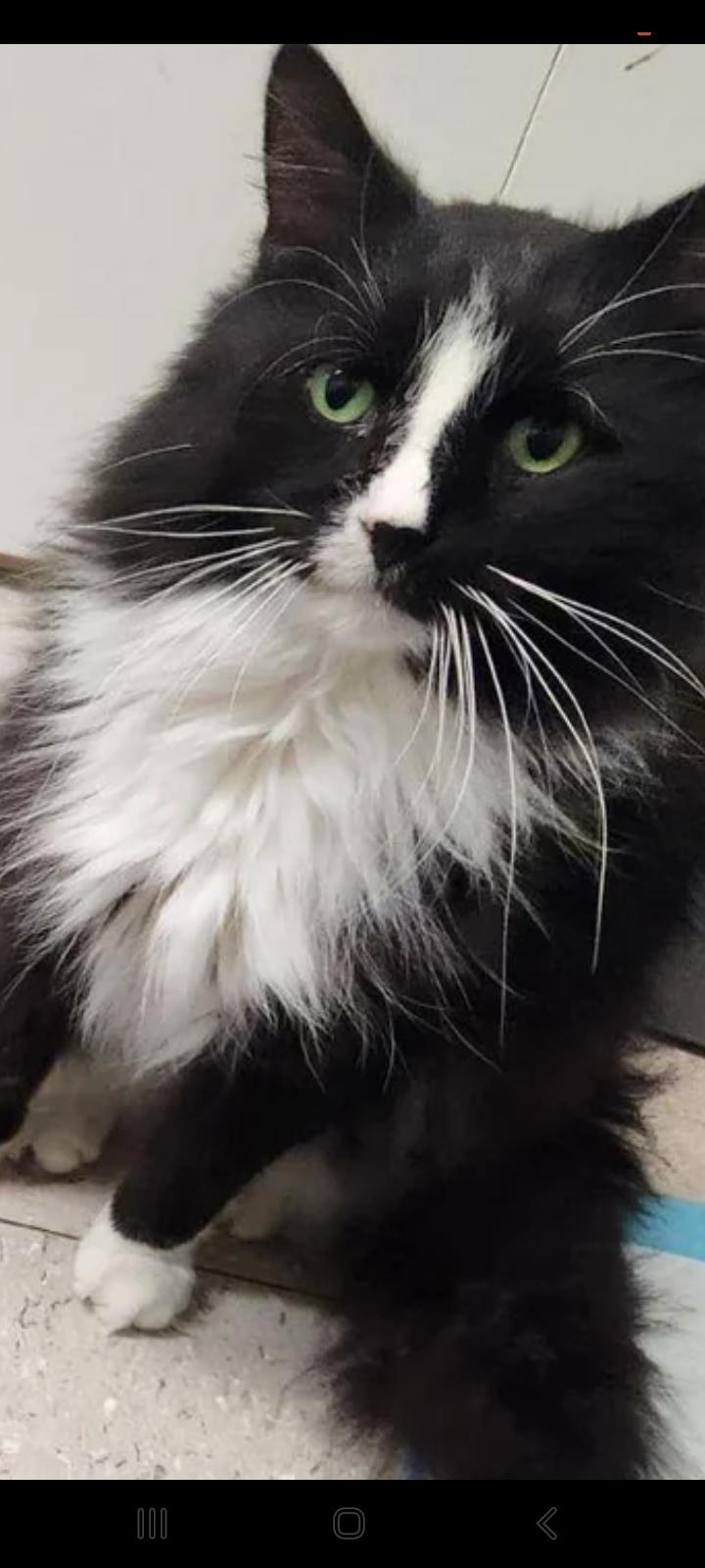 Bailey put on his finest tux | Scrolller