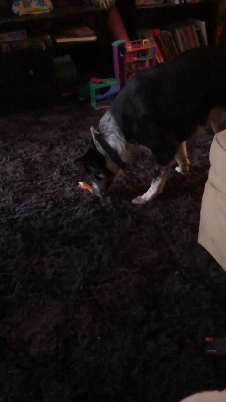 Shag doesn’t offer good coverage unfortunately. | Scrolller