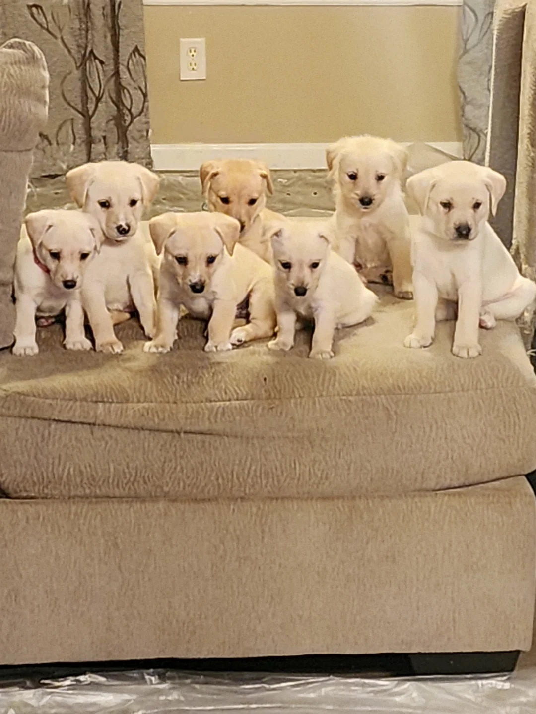 Timing is everything | Scrolller