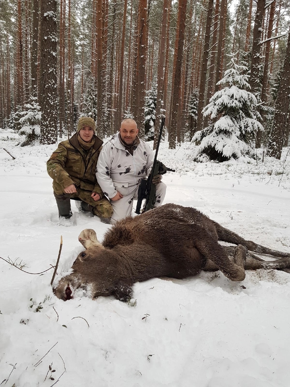 Winter Moose Hunting Scrolller