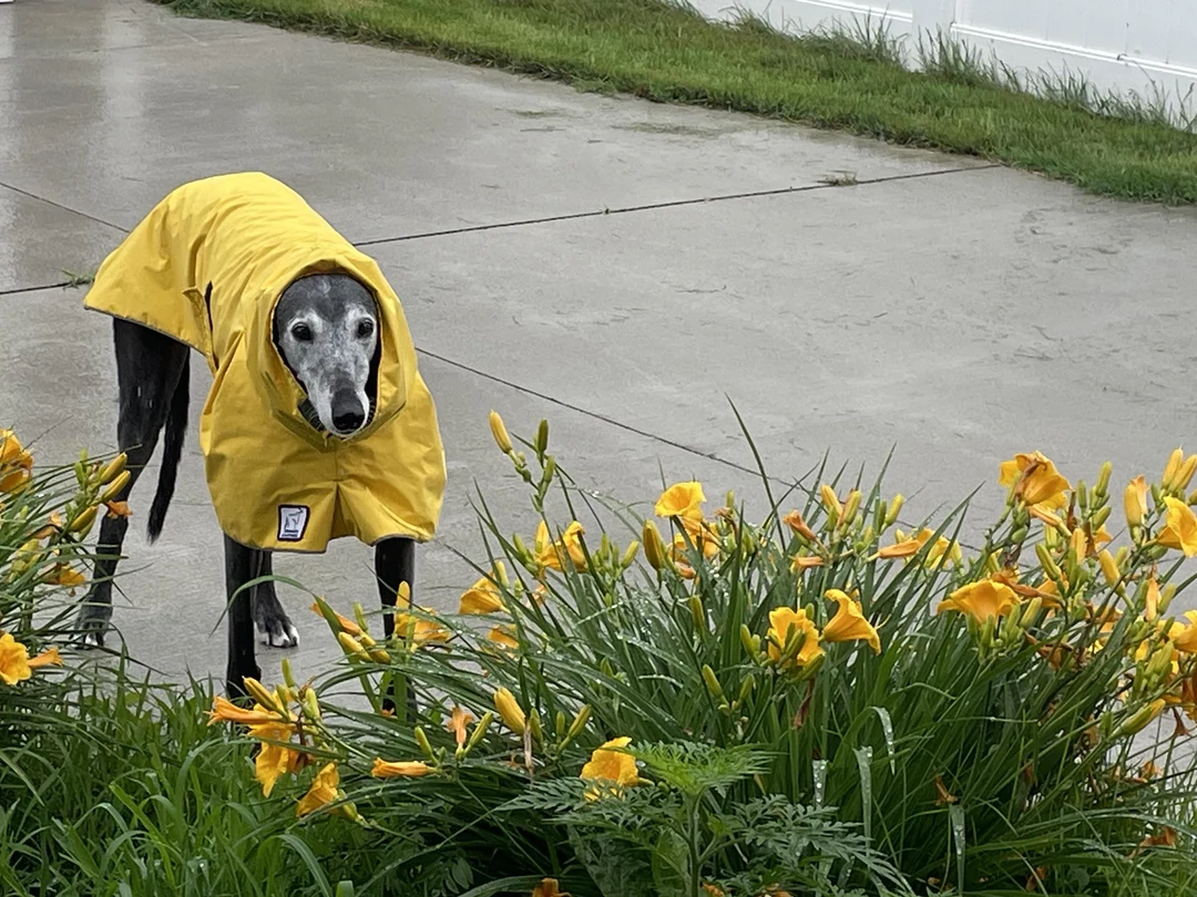 Take a moment, smell the flowers | Scrolller