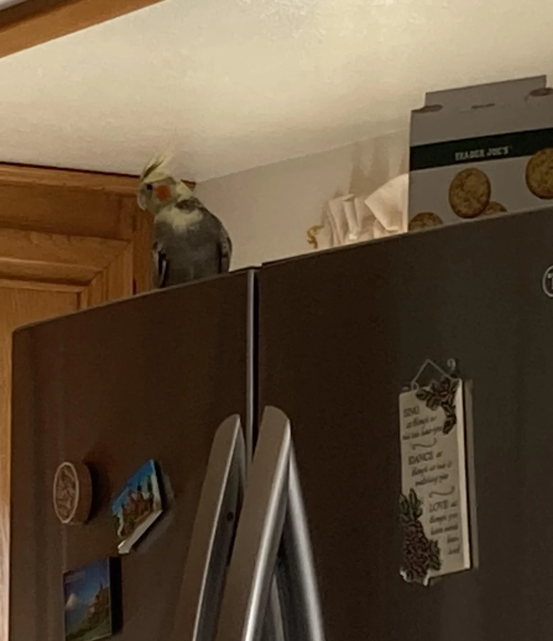 IM ON TOP OF THE WORLDDDDDDDD ..and so are the crackers… | Scrolller