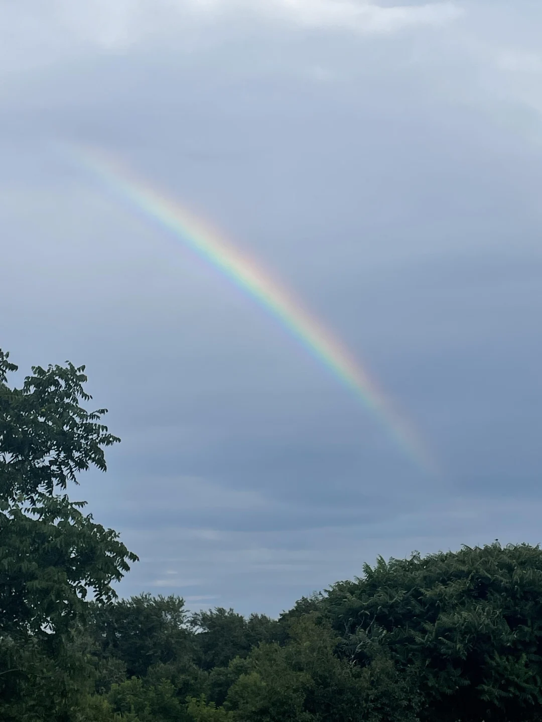 Most vibrant violet I’ve ever seen in a rainbow before 🌈 | Scrolller