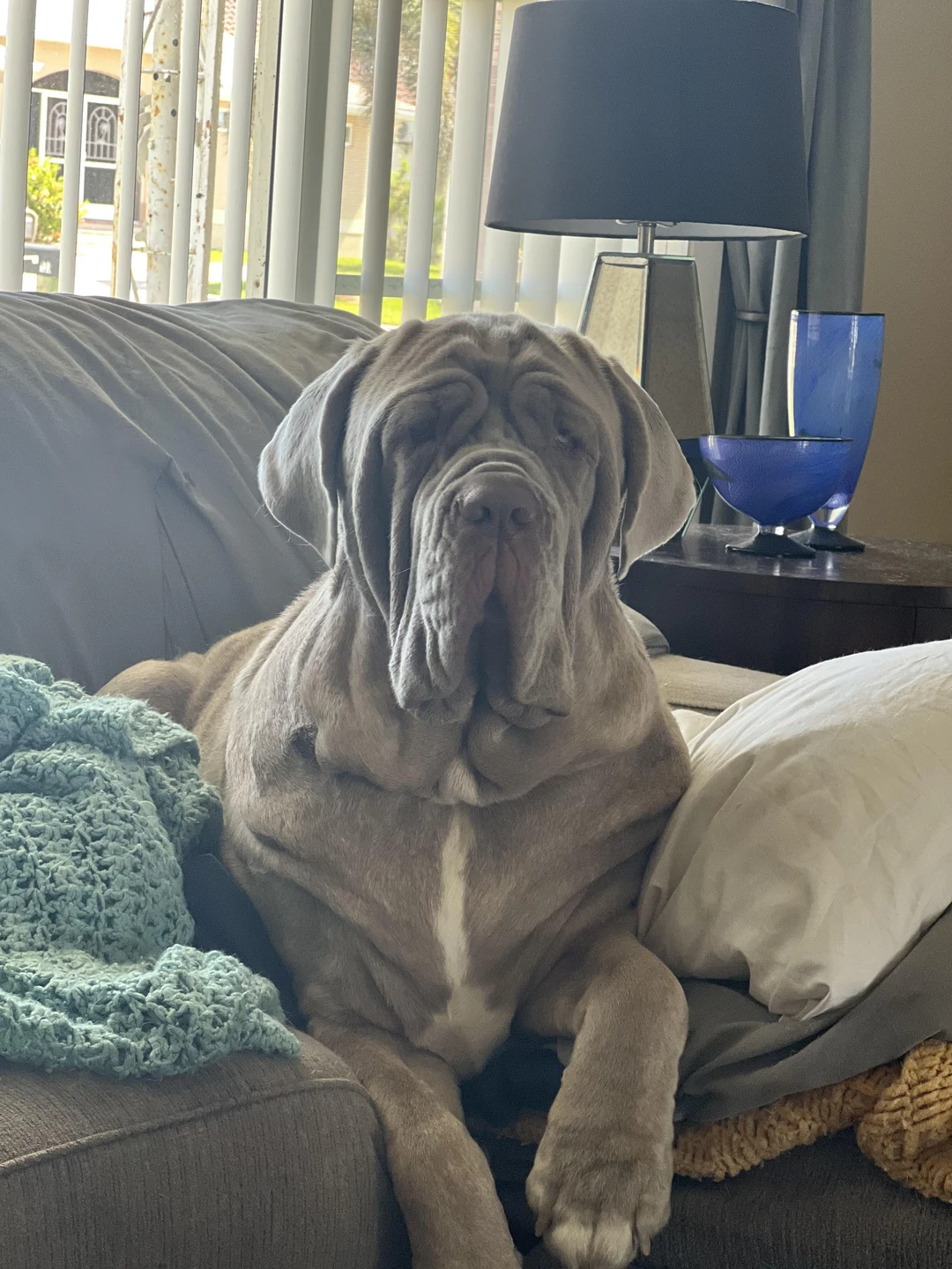 Just sitting on her perch.. Oh Carmela Marie.. | Scrolller