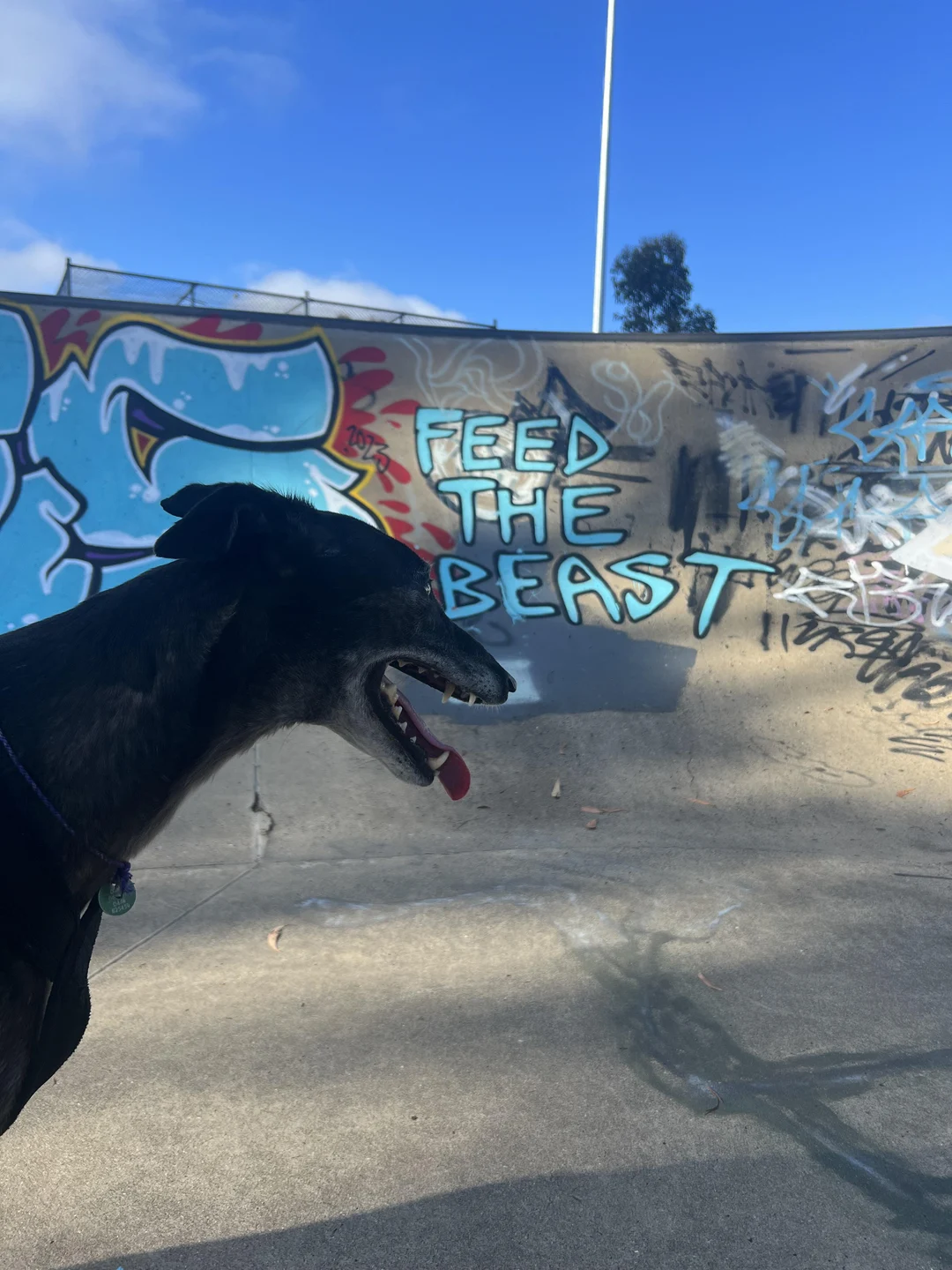 Feed the beast | Scrolller