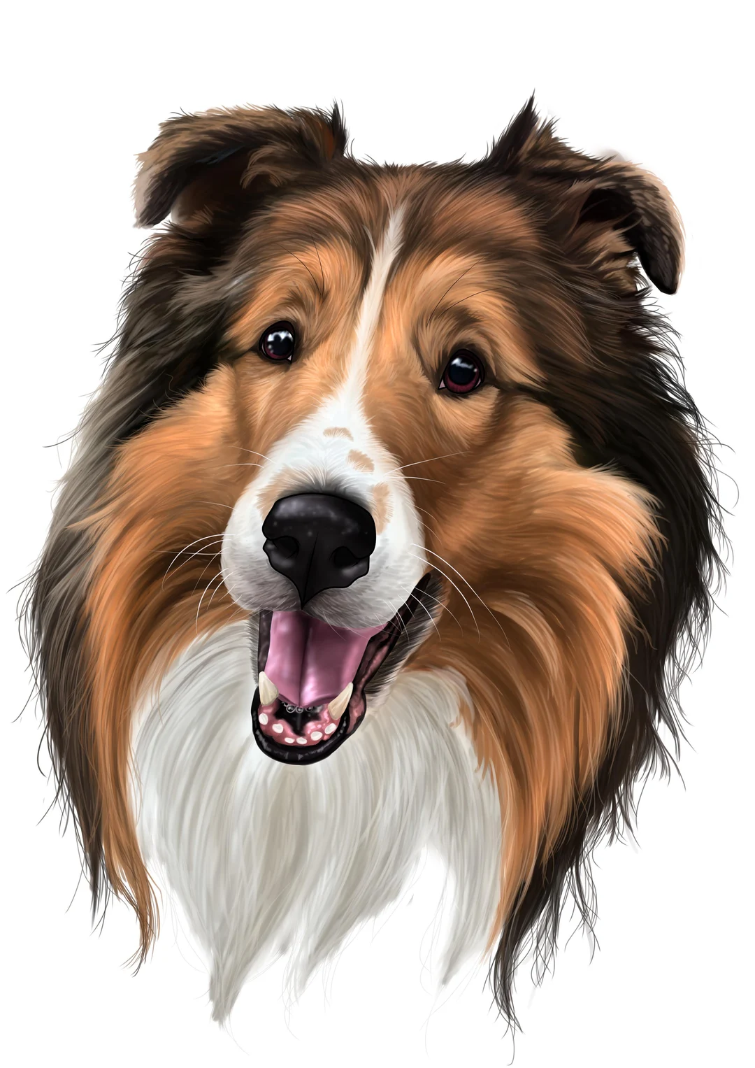 Rough Collie, myself, digital art, 2022 | Scrolller
