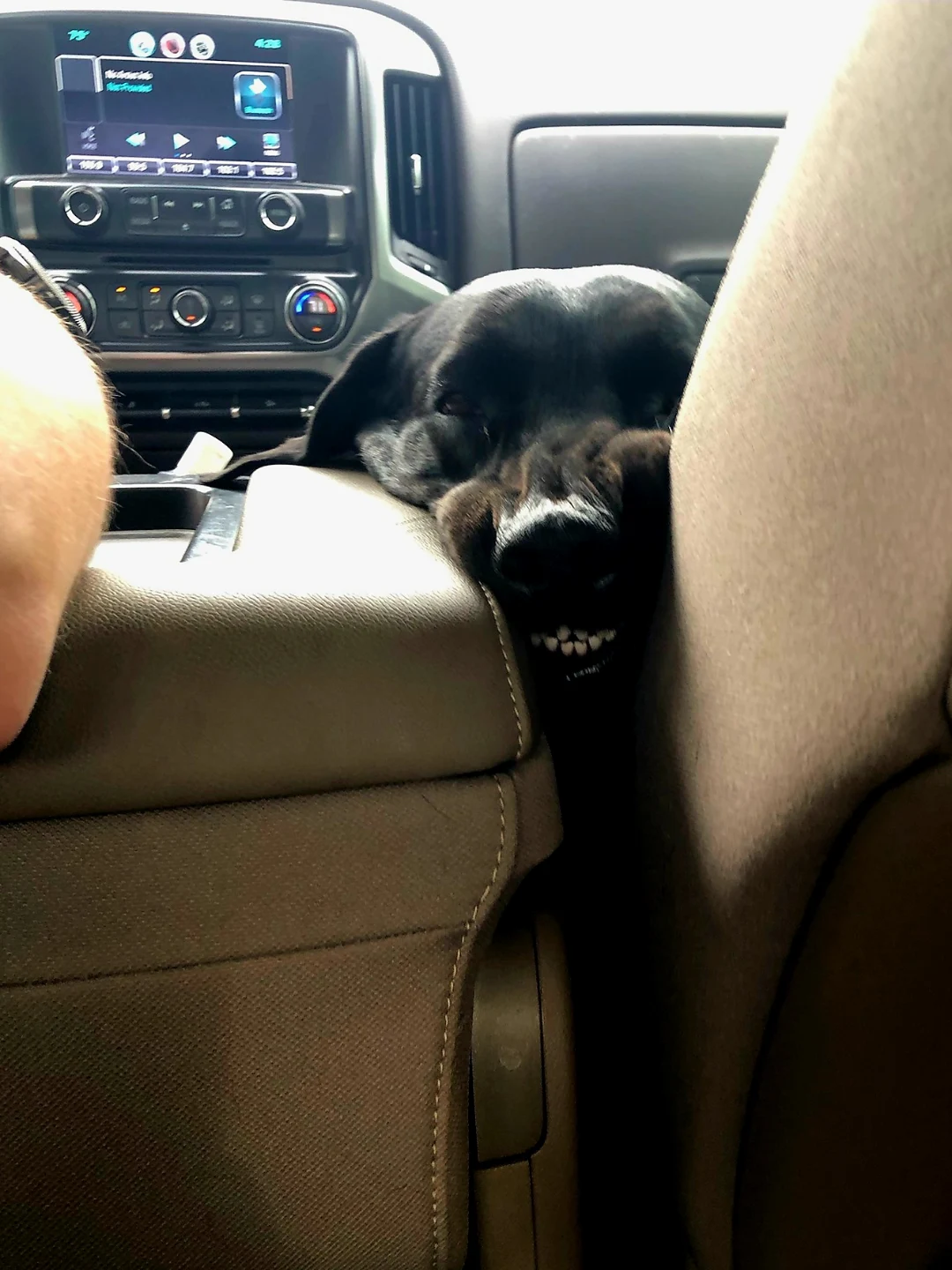 Road Trip Copilot | Scrolller