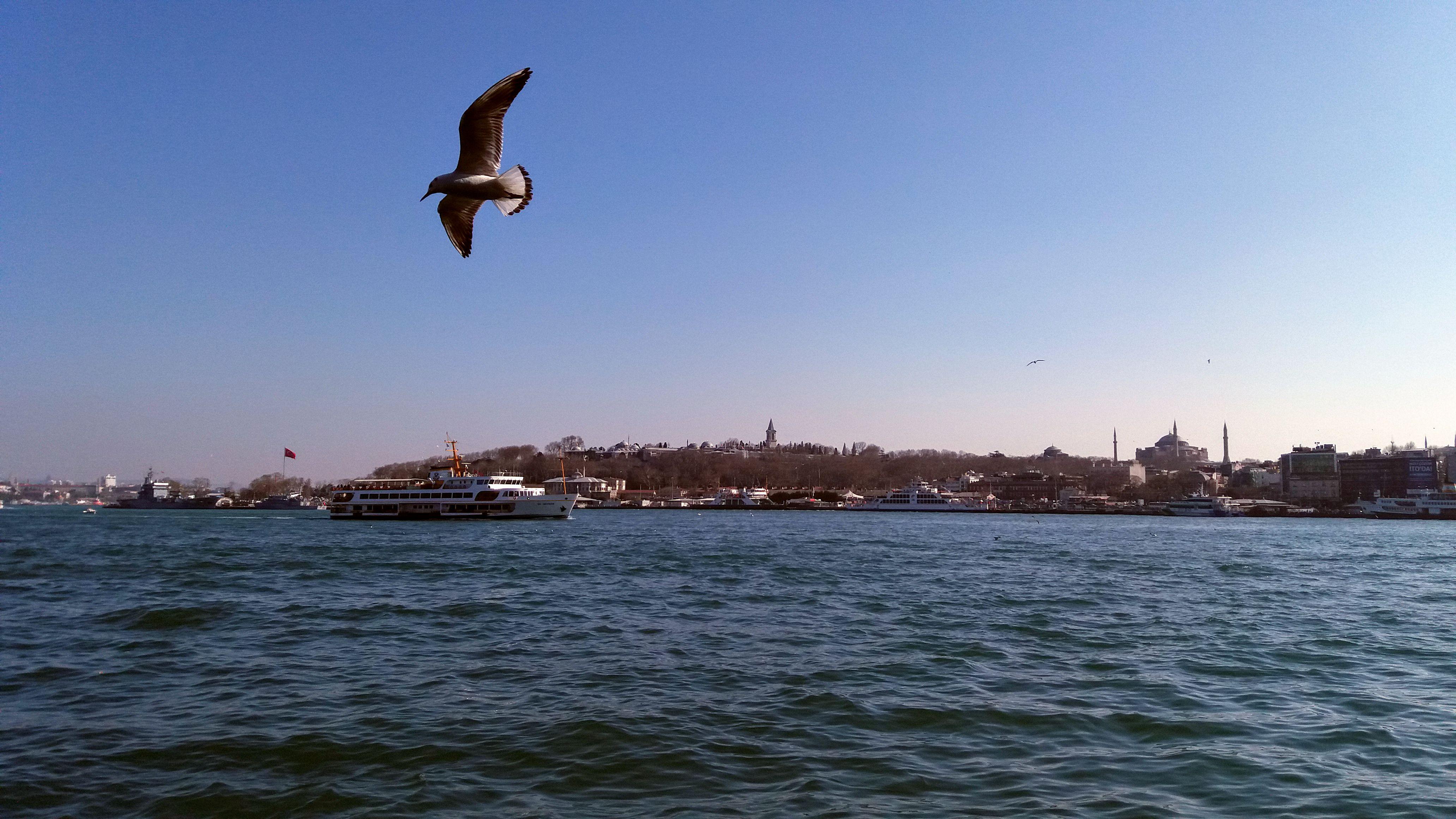 Istanbul, Turkey | Scrolller