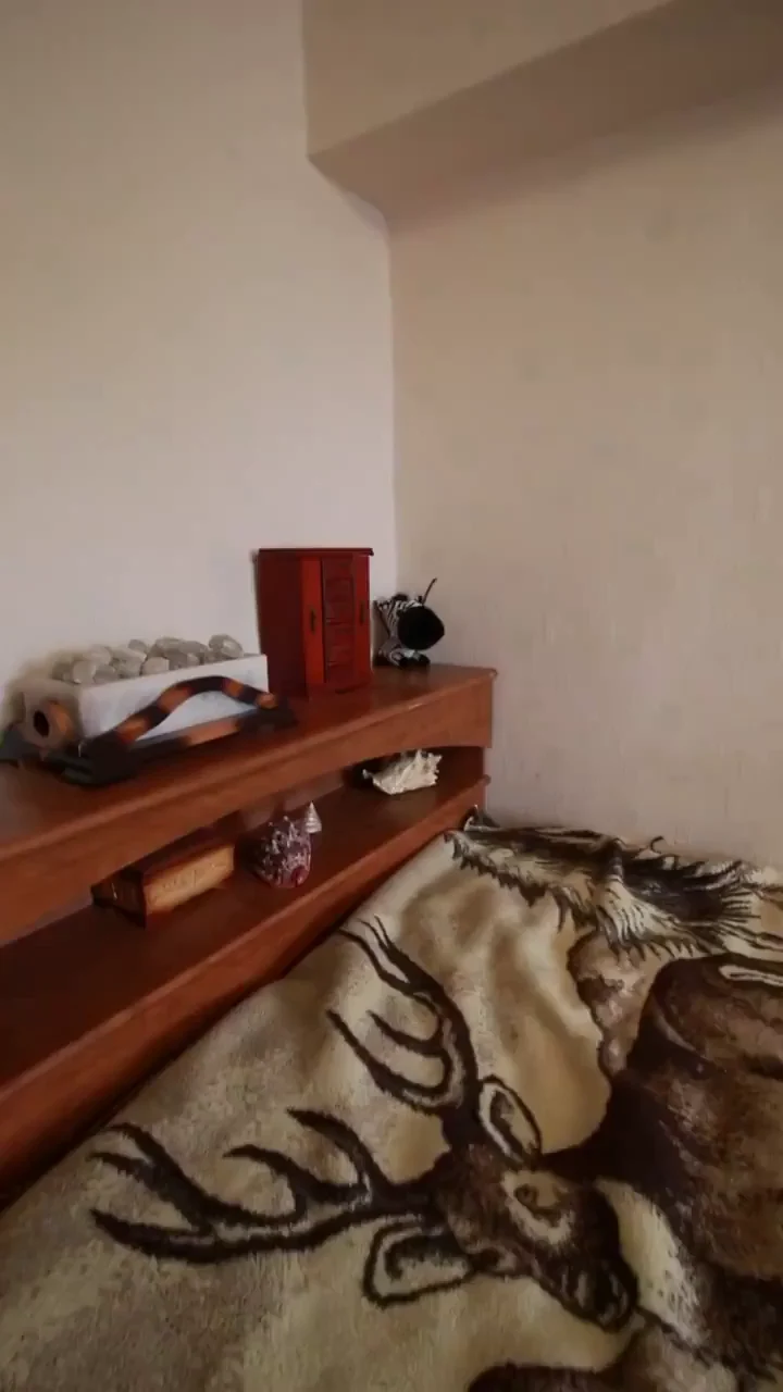 A Magpie’s intelligence | Scrolller