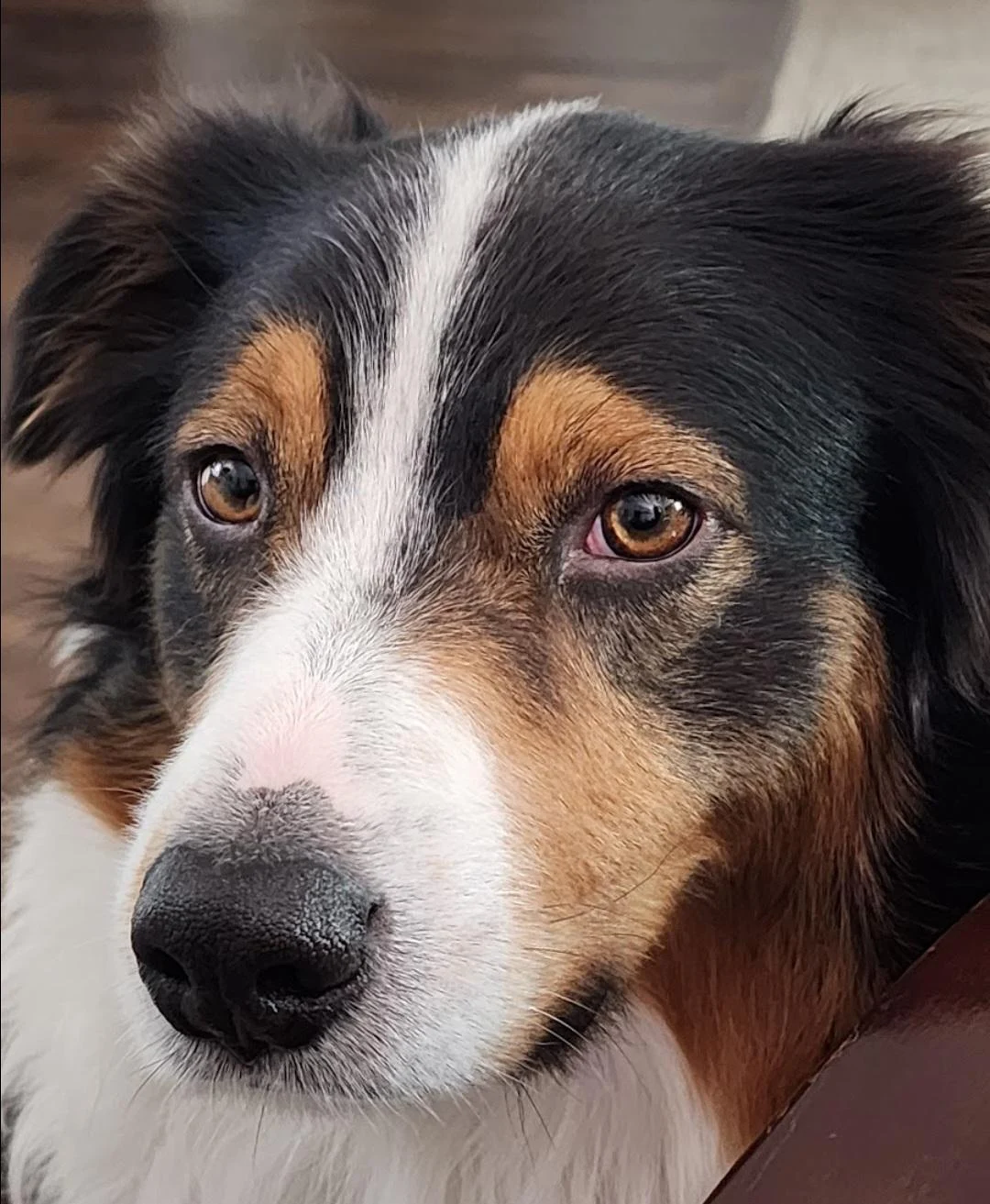 Hey Ladies | Scrolller