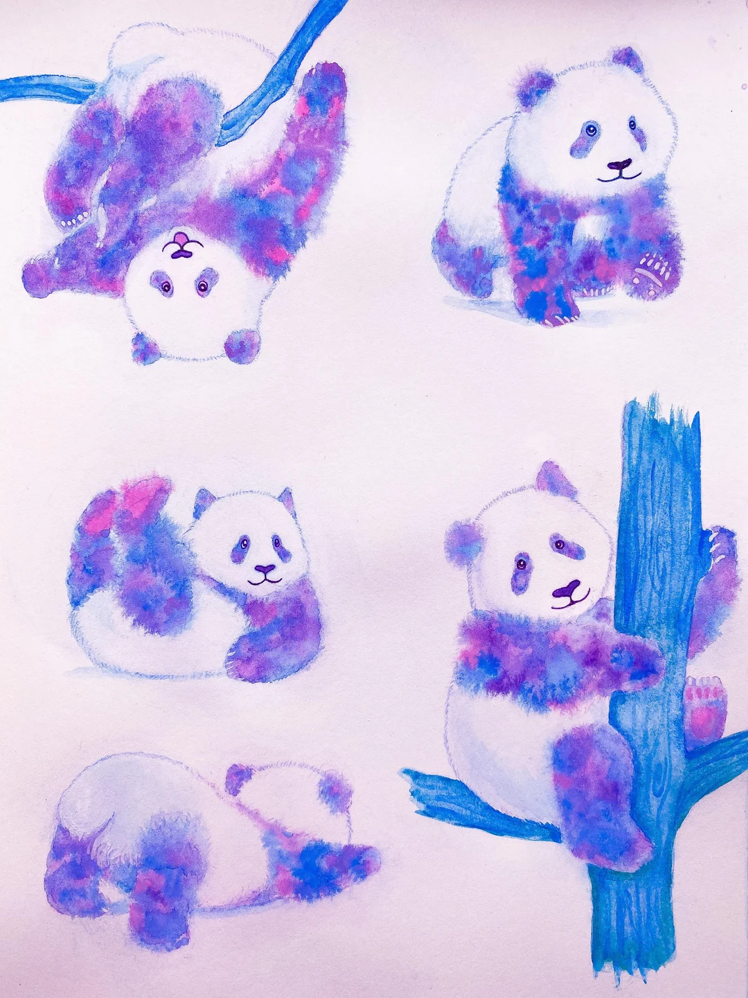 Some colorful panda bears! | Scrolller