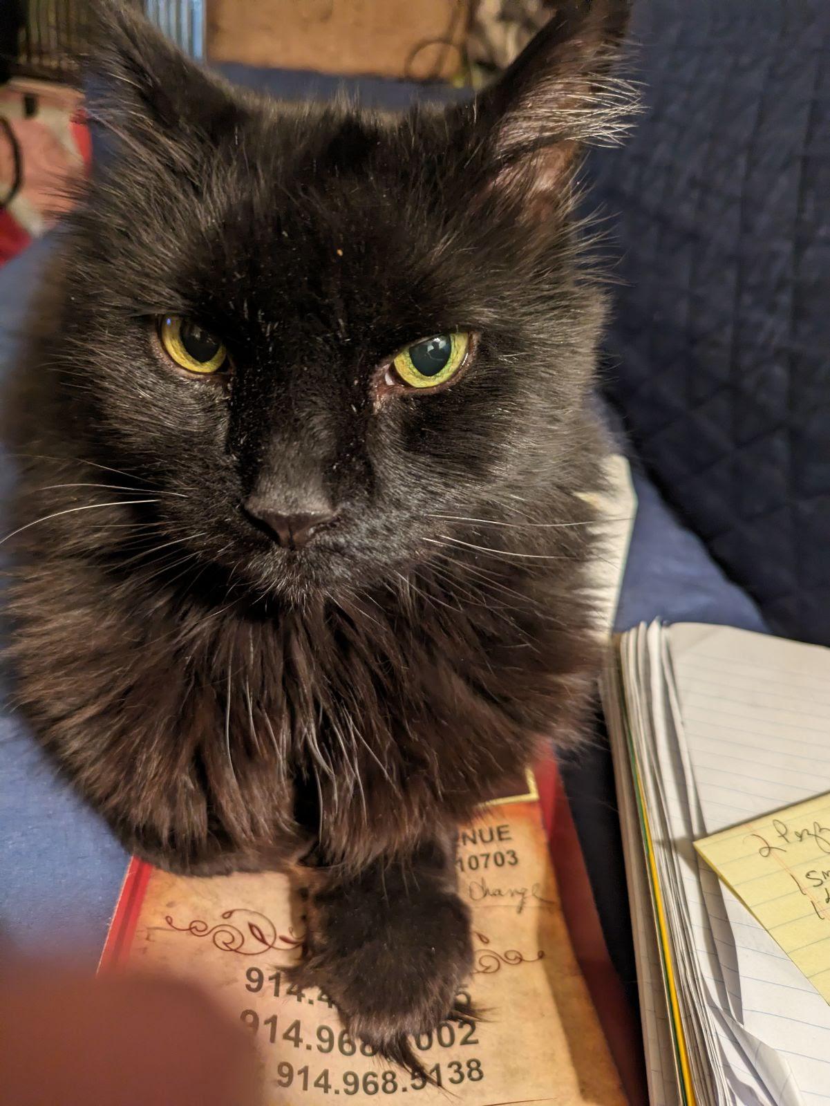 So handsome! | Scrolller