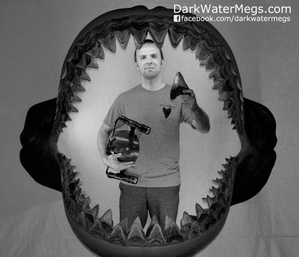 Megalodon jaw with real teeth | Scrolller