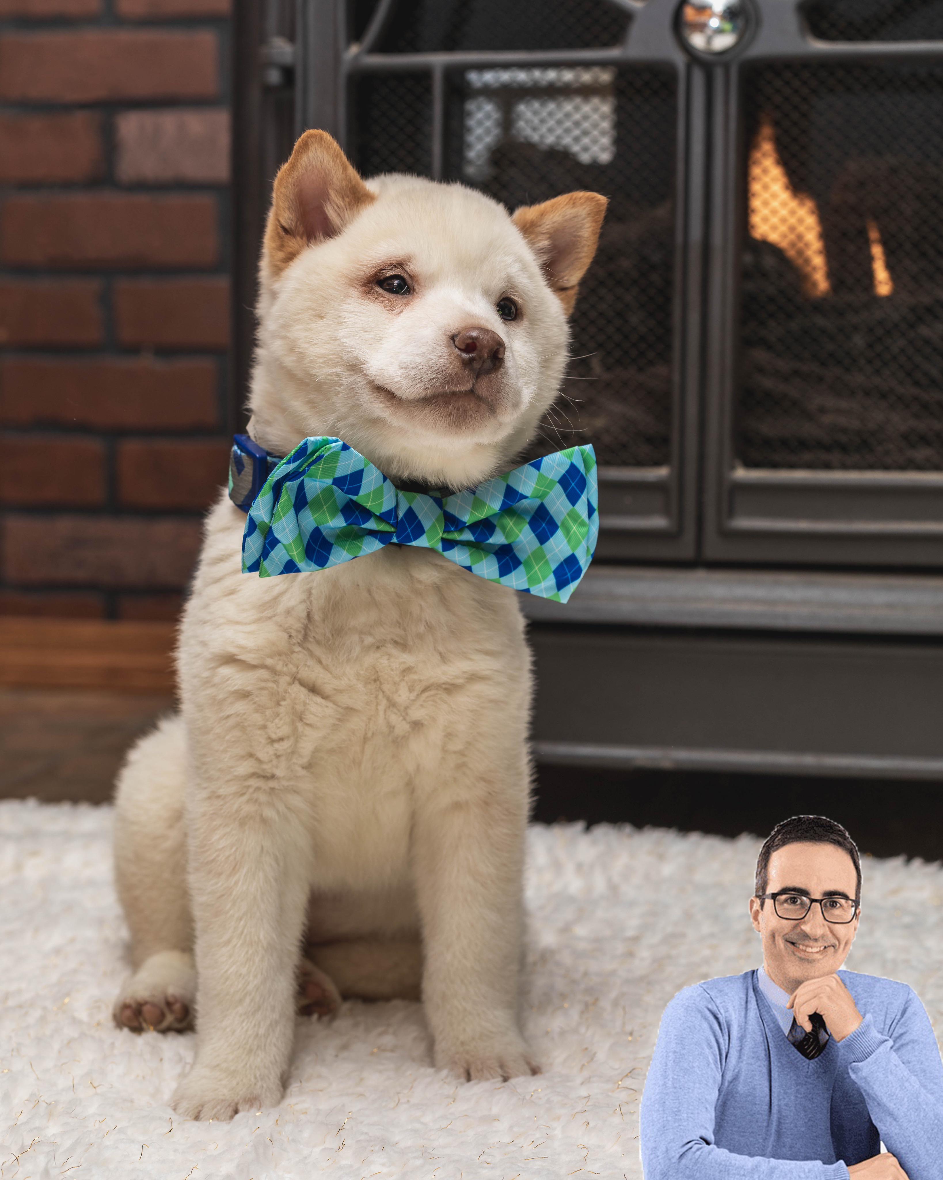 [OC] My little guy when he was a pup | Scrolller