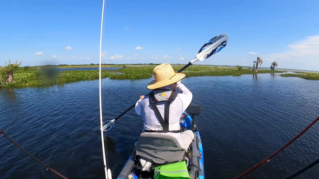 Gator Encounter On my Kayak | Scrolller