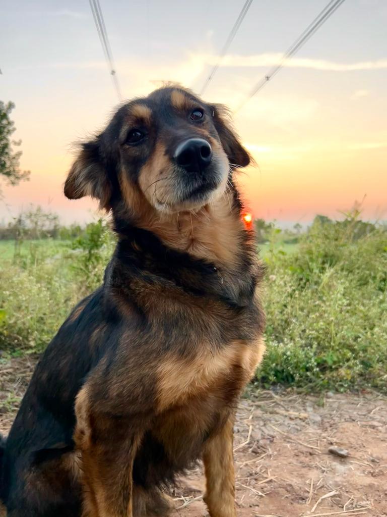 Our beautiful boy | Scrolller