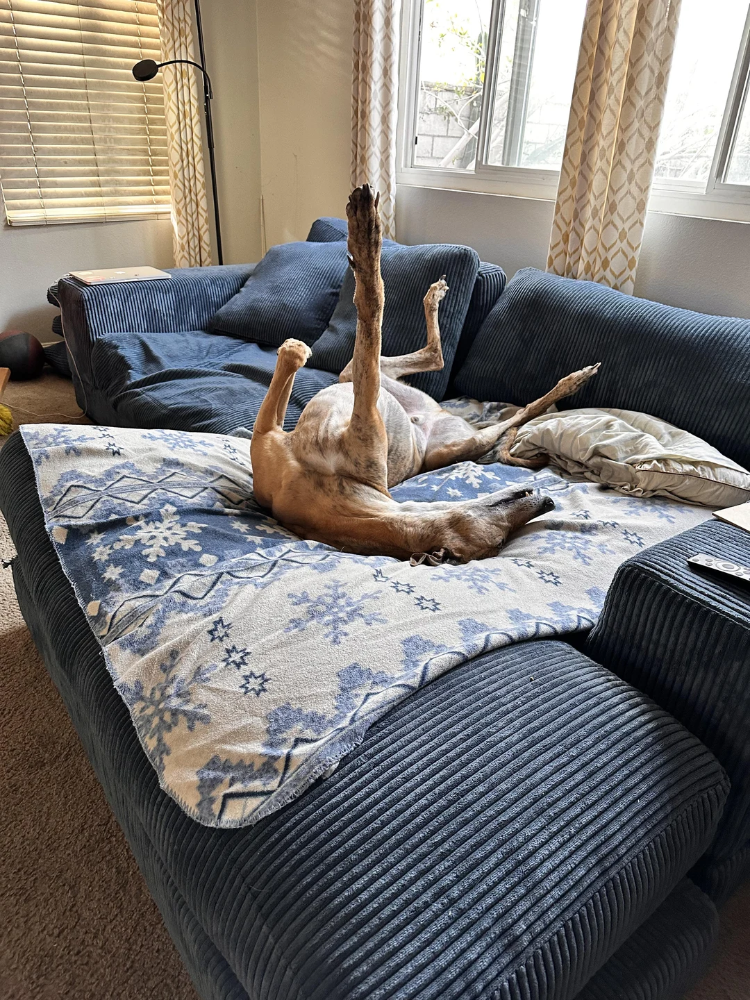 Strike a pose🥱 | Scrolller