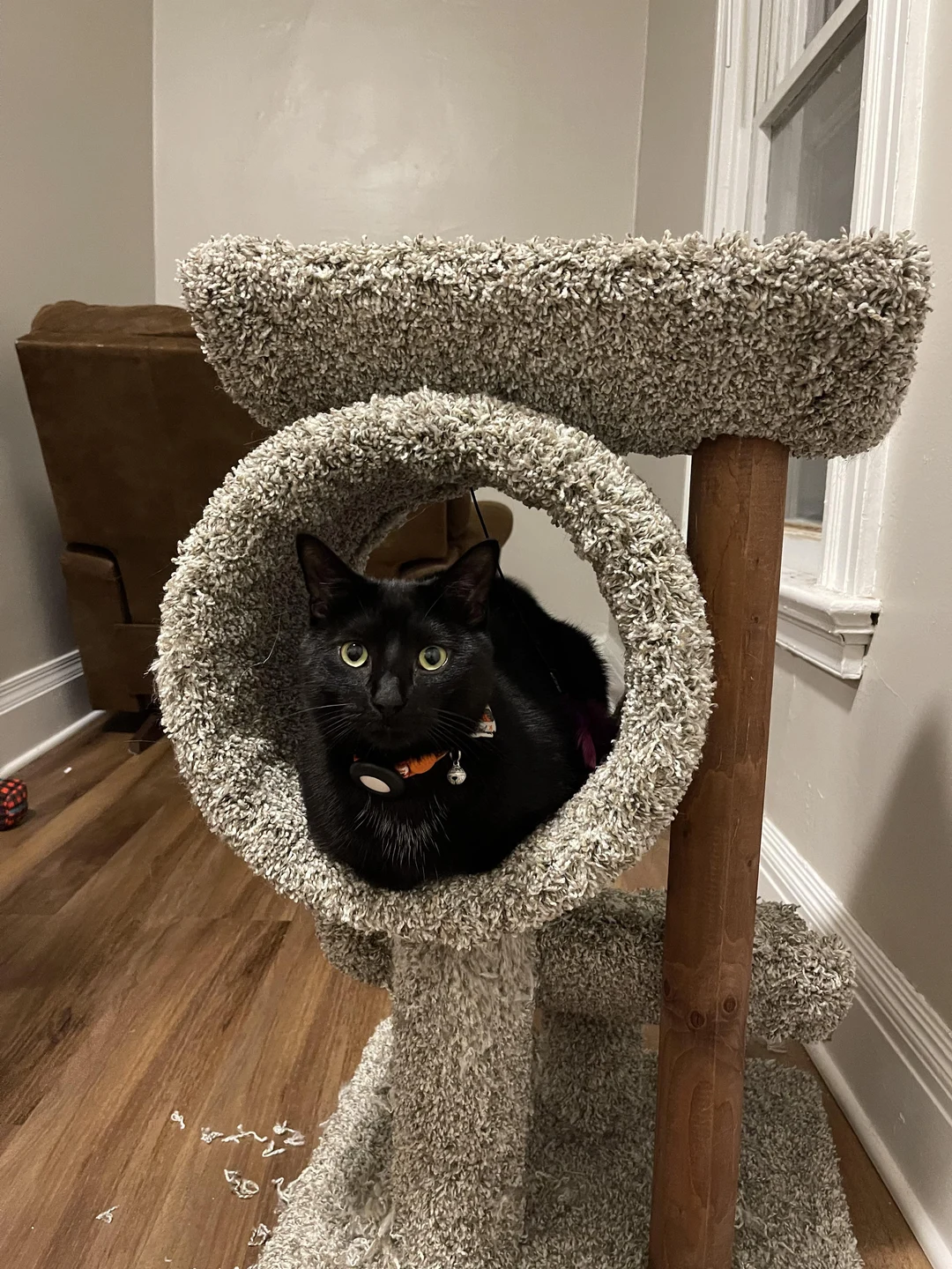 My loaf boy | Scrolller