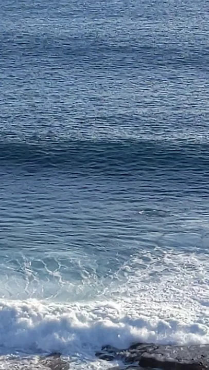 What is causing these bubble rings? | Scrolller