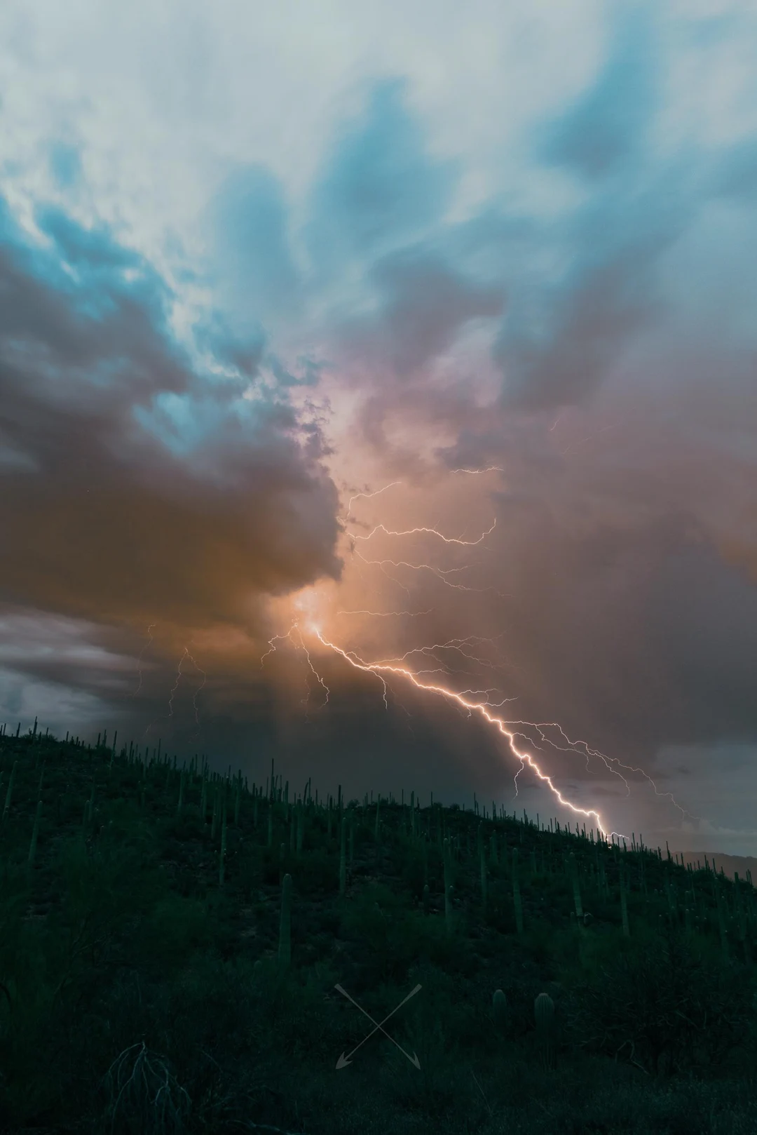 Monsoon Bolt over Tucson [OC][1655 × 2480] | Scrolller