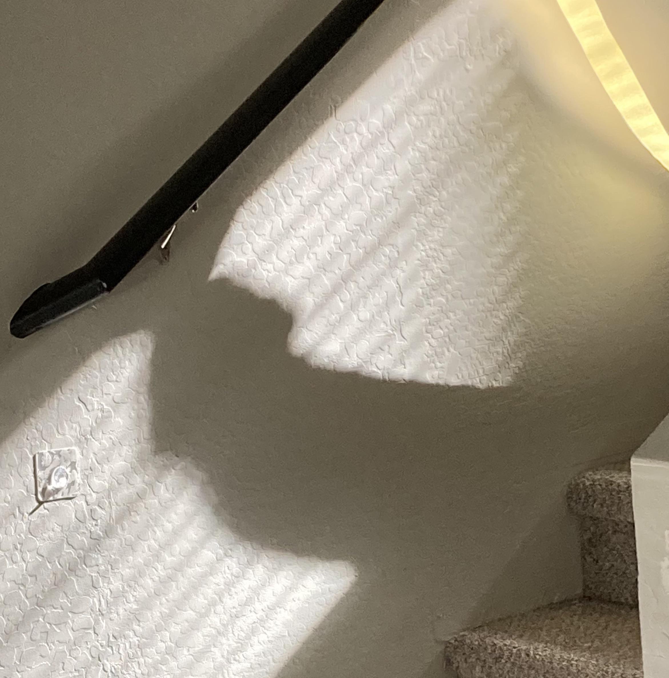 Phantom phallic from a party streamer | Scrolller