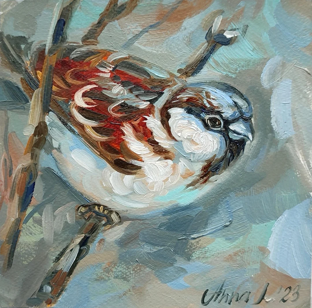 Tiny Sparrow Me Oil 6 By 6 2023 Scrolller
