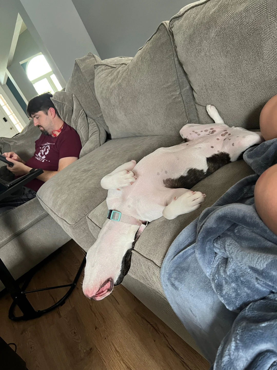 This looks both comfortable and uncomfortable some how. | Scrolller