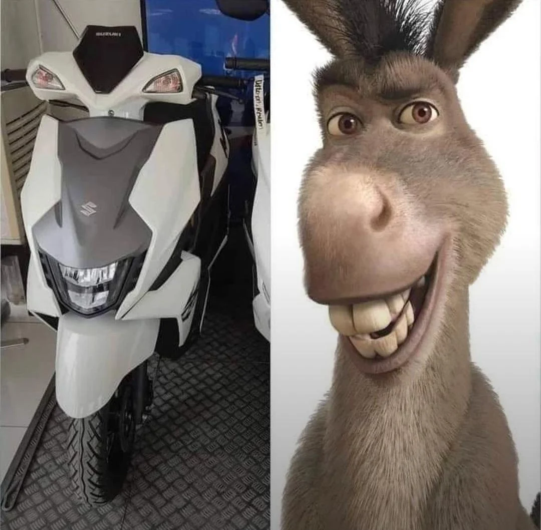 This is Shrek's donkey | Scrolller