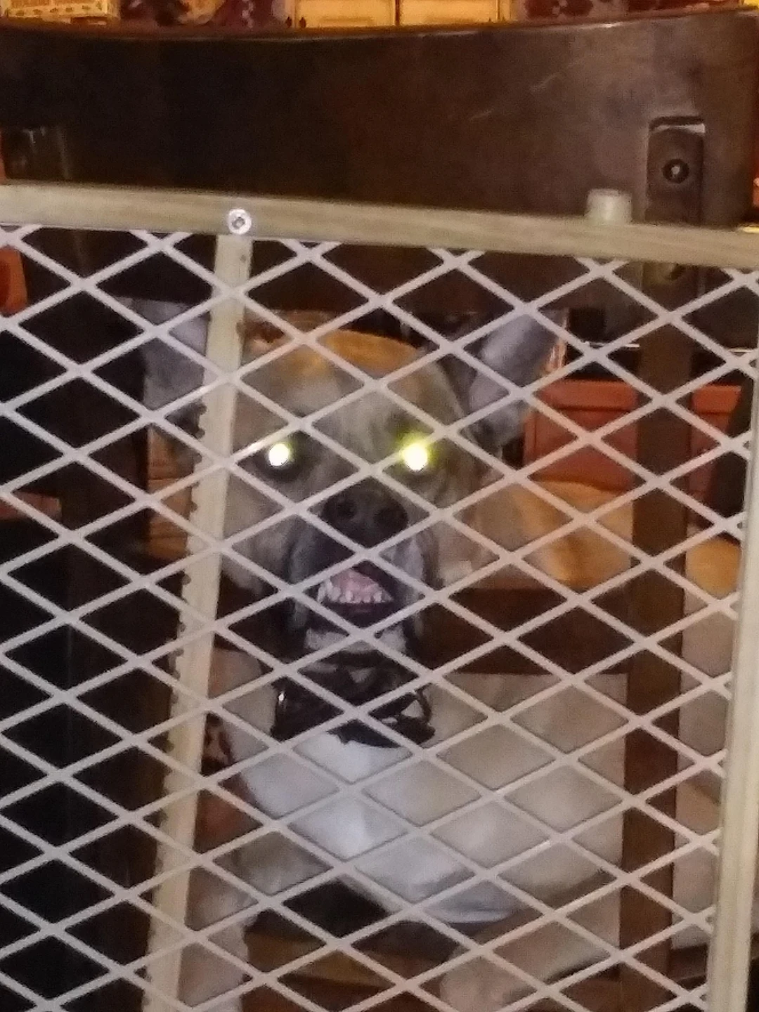 He gets possessed sometimes | Scrolller