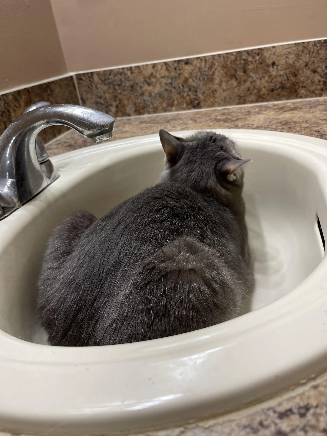 Angry sink loaf by Precious | Scrolller