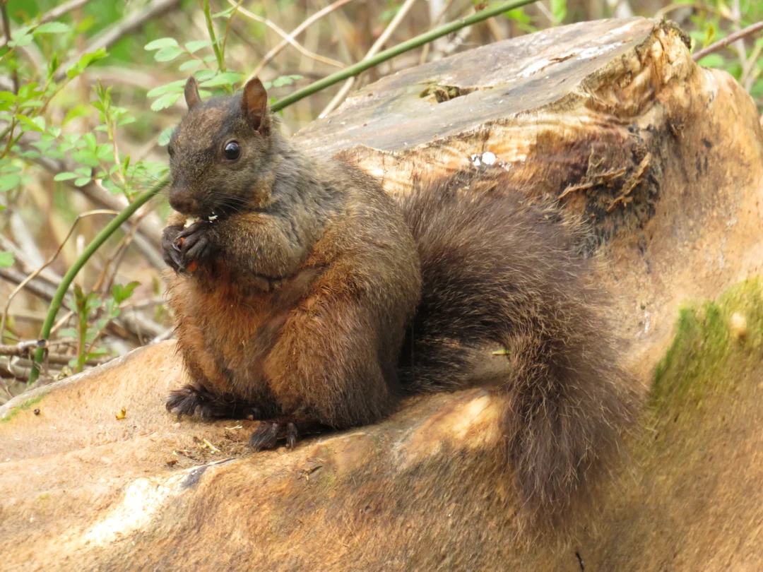 I'm back, Round & Angry was the first visitor. | Scrolller