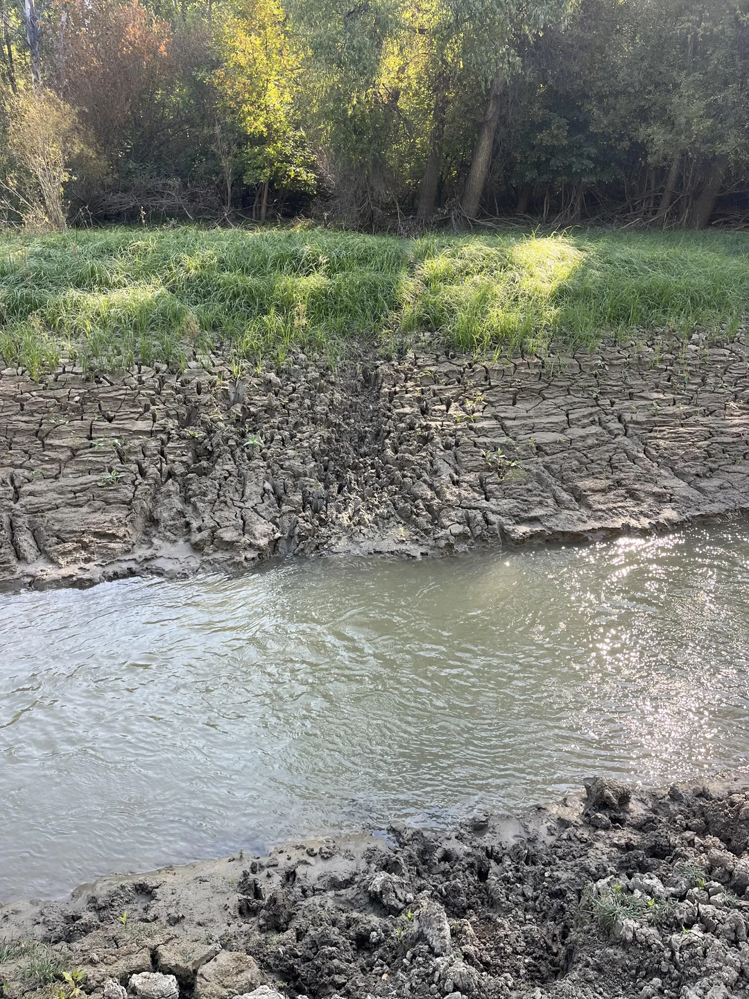 What crossing? | Scrolller