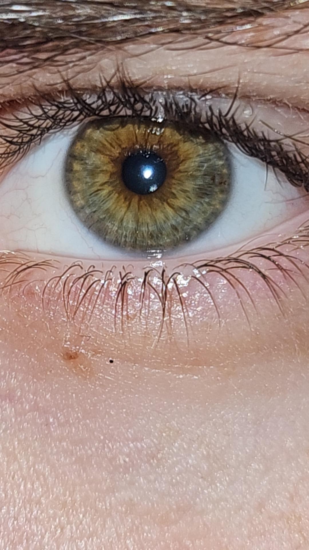 Hazel i think? | Scrolller