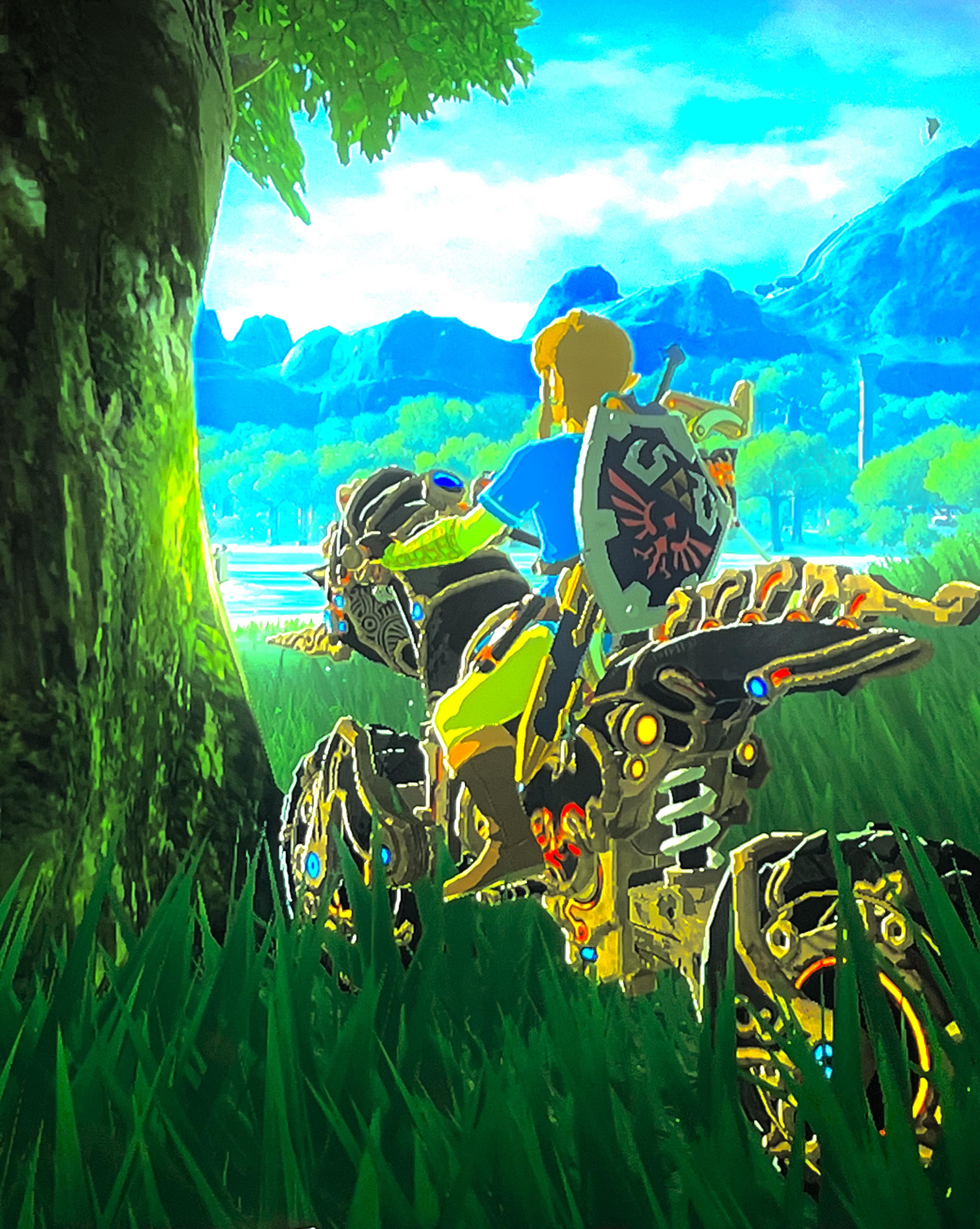 [BotW] I made this a couple years ago | Scrolller