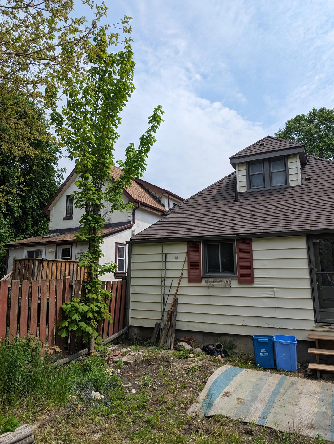 Tree removal | Scrolller