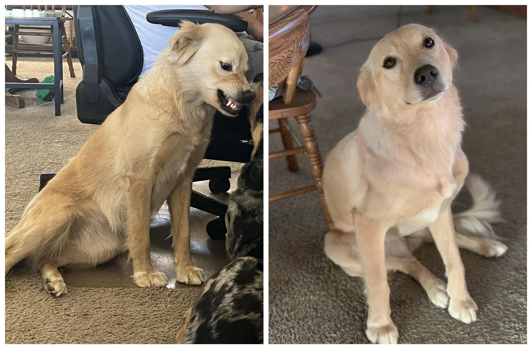 My little SourPatch Kid. | Scrolller